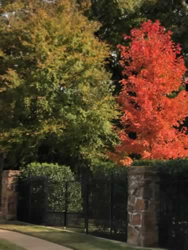 Fall foliage tours around Tyler and East Texas in 2020, current fall ...