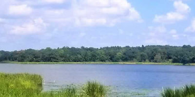 Bellwood Lake in Tyler Texas, location, size, history, recreation, The ...
