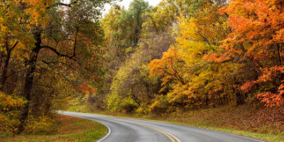2025 fall foliage tours & road trips around Tyler and East Texas ...