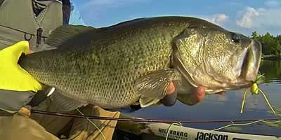 Lakes near Tyler Texas, list of lakes, lake sizes in acres, lakes near ...