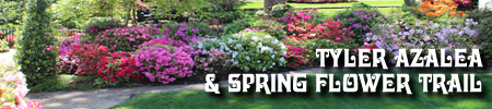 2020 Tyler Texas Azalea and Spring Flower Trails, March 20 - April 5 ...