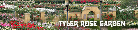 Tyler Texas Rose Garden, photographs, history, map